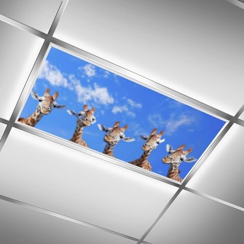 Fluorescent Light Cover for Classroom 4 x 2 ft Classroom Light Covers ...