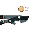Amazon.com : Fiskars Loppers for Tree Trimming, Heavy Duty, Sharp ...