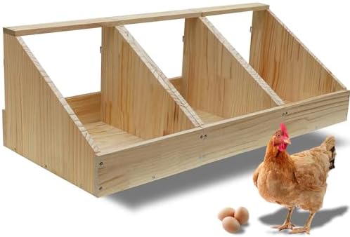 Amazon.com: Hens Nesting Box, Chicken Nesting Boxes 3 Packs Single ...