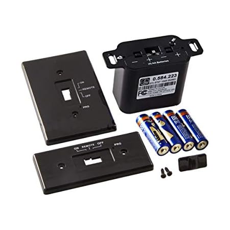 Amazon.com: 0.584.521 Proflame Receiver Kit GTM Series Includes SIT 0. ...