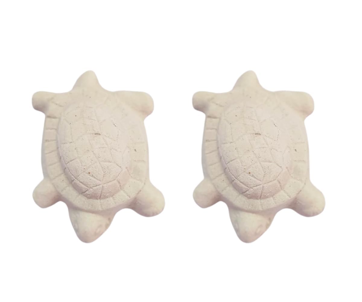 Foodie Puppies Turtle Conditioner (Pack of 2) | Enriched with Calcium ...