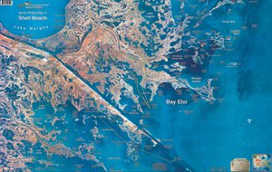 Amazon.com: Standard Map Standard Laminated Fast Fold Shell Beach ...