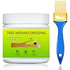 Amazon.com : Tree Wound Sealer & Dressing, New 500g Tree Pruning Sealer ...