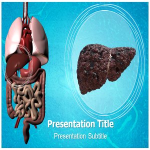 Liver Cirrhosis Powerpoint Template Powerpoint Ppt Presentation On ...