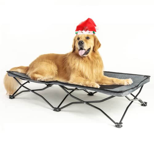 Dog Camping Gear You'll Actually Use - Getaway Couple