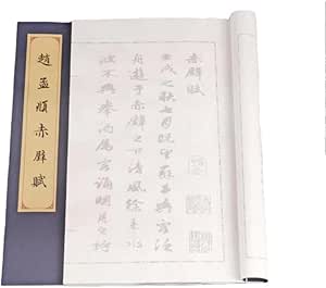 Amazon.com : PUTOVA Hand-copied meditation book Chinese Calligraphy Copybook, 1pc Chinese ...