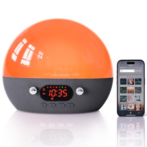 Amazon Best Sellers: Best Clock Radios
