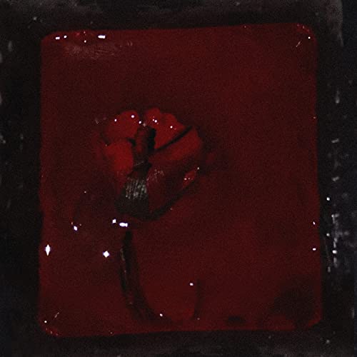Amazon.co.jp: Velvet Room : Evitceles: Digital Music