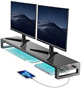 VAYDEER Dual Monitor Stand Riser with Wireless Charging and 4 USB Ports ...
