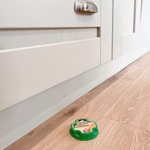 Ant clear ant control bait station – indoor & outdoor ant killer bait ...