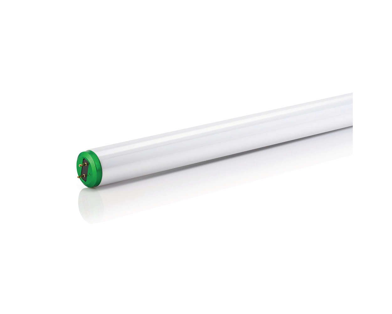 Philips 452888 Fluorescent 40W T12 48-Inch Cool Light Bulb White 30Pk ...