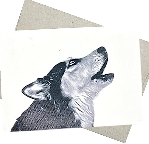 Amazon.com : Siberian Husky Greeting Card (5X7 Inch, 1 Card, Blank ...