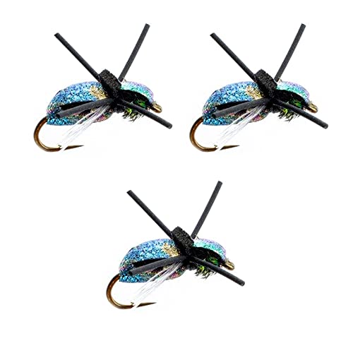 Top 7 Best beetle fly patterns Reviews & Buying Guide – Maine ...