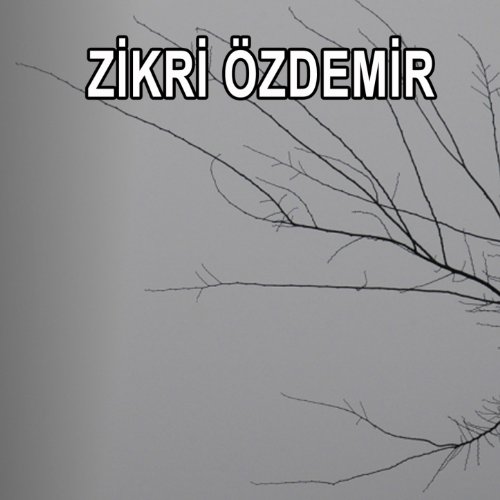 Amazon MusicでZikri ÖzdemirのZikri Özdemirを再生する