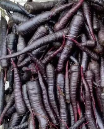 Swa-Deshi Carrot Black:Gajar-90 per packet : Amazon.in: Garden & Outdoors