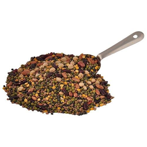 Mixed Pulses (for Sprout) 250 Gram - by Amirtham Organic Foods : Amazon ...