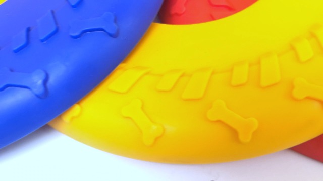 Watch 3 Pack 10 Inch Flying Disc Dog Fetch Toy on Amazon Live