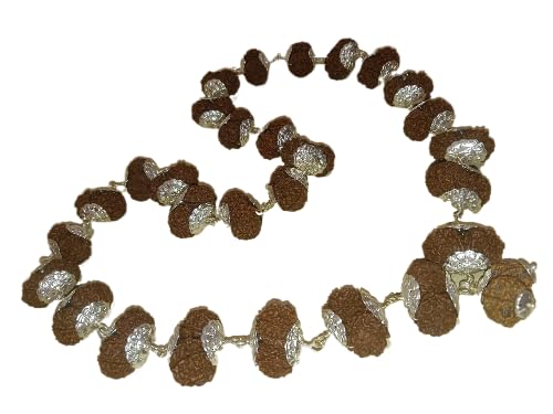 Hdbg Lab Certified Ruthratcham Malai Shiv Parvati Blessed Gori Shankar ...