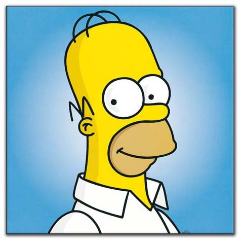 Artopweb The Simpsons Homer Decorative Panel, Multi-Colour – BigaMart