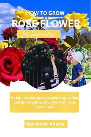 How to grow Roses for beginners : A Step-by-Step Guide to Planting ...