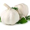 Garlic Growing Set - French Variety 'Vigor Supreme' - 3 x Large Bulb ...