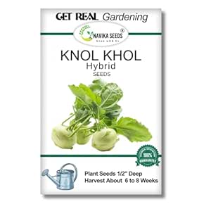 Navika Seeds ; Grow with Us Knol Khol Hybrid Vegetable Seeds For ...