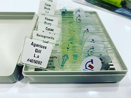 Biological HUB- Biology Microscope Prepared Permanent Slides Botany and ...