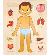 Amazon.com: Wooden Body Puzzles for Kids, Toddler Montessori 14 Pieces ...