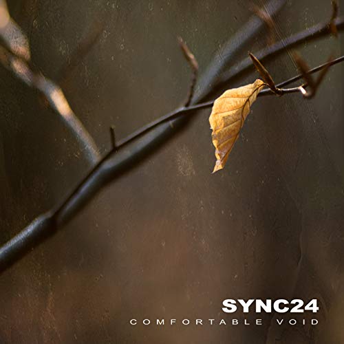 Amazon.com: Comfortable Void : Sync24: Digital Music
