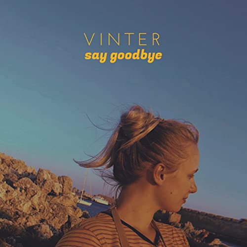 Say Goodbye by Vinter on Prime Music
