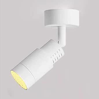 Amazon.com: an Indoor Directional Ceiling Spotlight with Adjustable ...