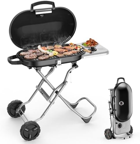 Amazon.com: MASTER COOK Propane Gas Grill, Portable Tabletop Barbecue ...