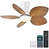 Kviflon Low Profile Ceiling Fans with Lights and Remote/APP Control, 30 ...