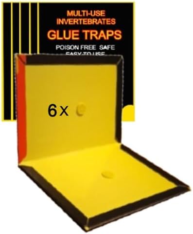 6 x Multi Use Bugs Sticky Boards Trap | Efficient Pack Of Invertebrates ...
