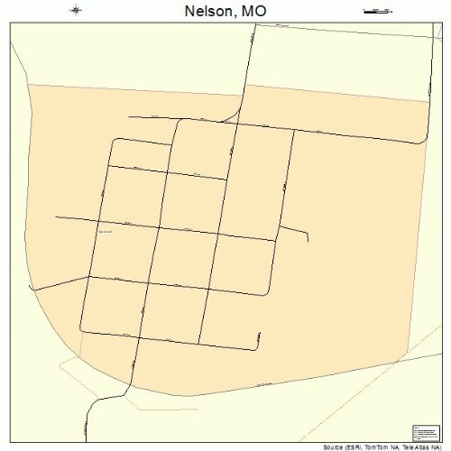 Large Street & Road Map of Nelson, Missouri MO - Printed poster size ...