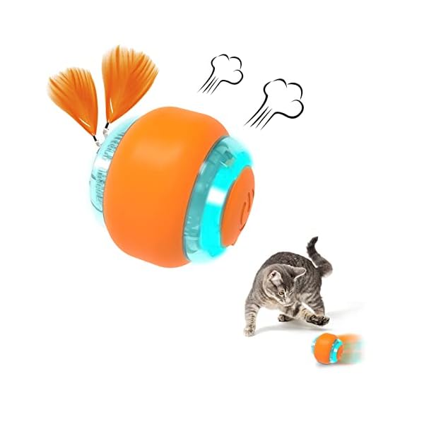 Cat Ball Toys for Indoor Cats, Bouncing Balls Wicked Ball Motion Cat Toys