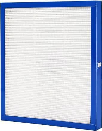 Amazon.com: Replacement True Hepa Filter Compatible with HoMedics AF ...