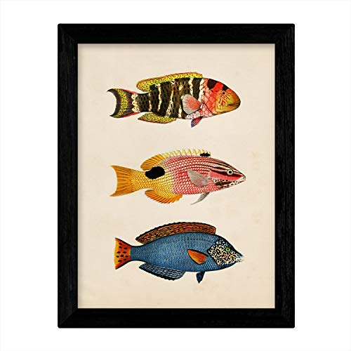 Set 4 sheets of fish vintage colorful effect. Baltic. Composition of 12 ...