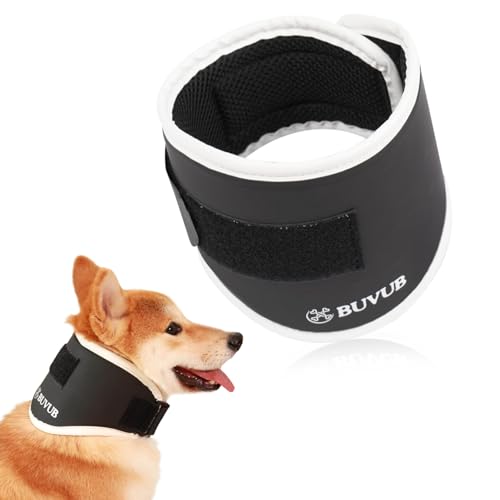 Dog Neck Brace – The 15 best products compared - Wild Explained