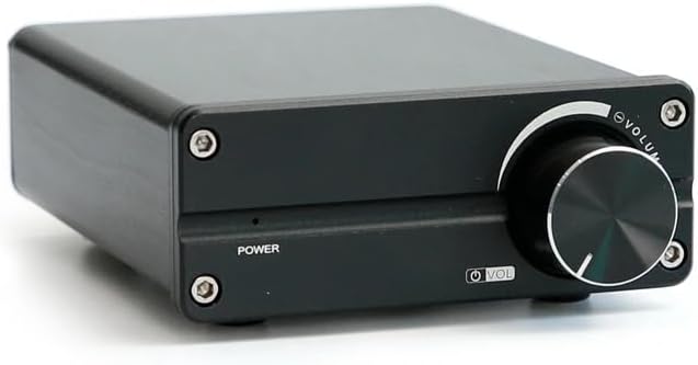 DHRUVPRO 100W Mono TPA3116 Subwoofer Digital Single Channel Amplifier ...