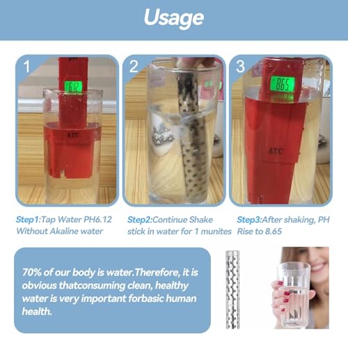 Agatige 5Pcs Alkaline Water Filter Sticks, Portable Stainless Steel PH ...