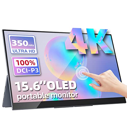 Top 10 Best Portable Monitor For Switch : Reviews & Buying Guide - Katynel