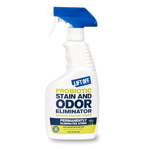 How to Get Rotten Milk Smell Out of Your Car Permanently - CarXplorer