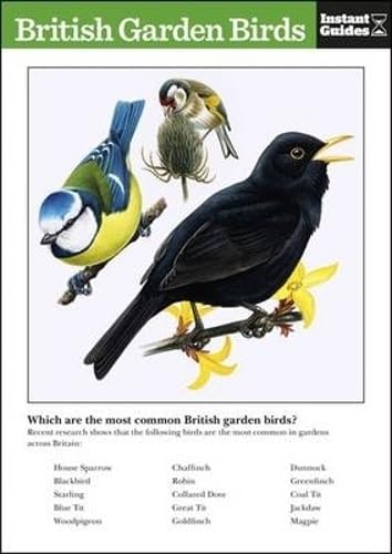 British Garden Birds: The Instant Guide (Instant Guides): Amazon.co.uk ...