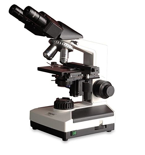 Magnus MLXi Plus Binocular Microscope : Amazon.in: Industrial & Scientific