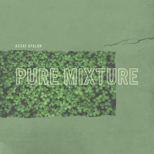 Amazon.com: Pure Mixture : Assaf Ayalon: Digital Music