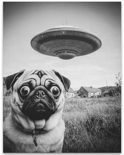 Amazon.com: Oh Sh*t - Funny UFO Encounter-Shocked Pug Saw a Flying ...
