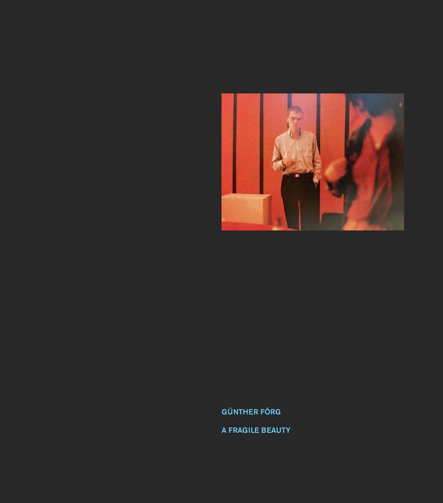 Günther Förg: A Fragile Beauty: Dallas Museum of Art, Neff, Michael ...