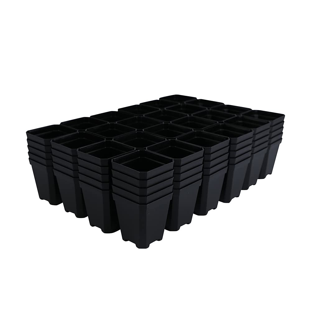 Buy BangQiao 120 Pack Small 2.70 Inch Plastic Square Nursery and ...
