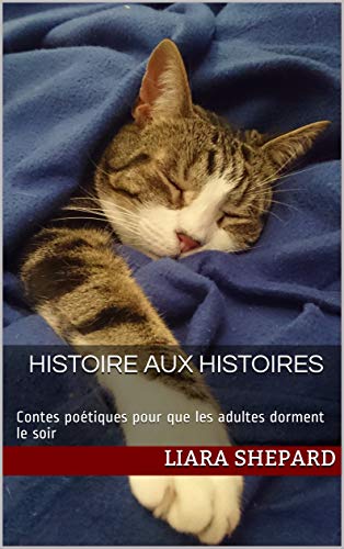 Histoire aux histoires: Contes poétiques pour que les adultes dorment ...